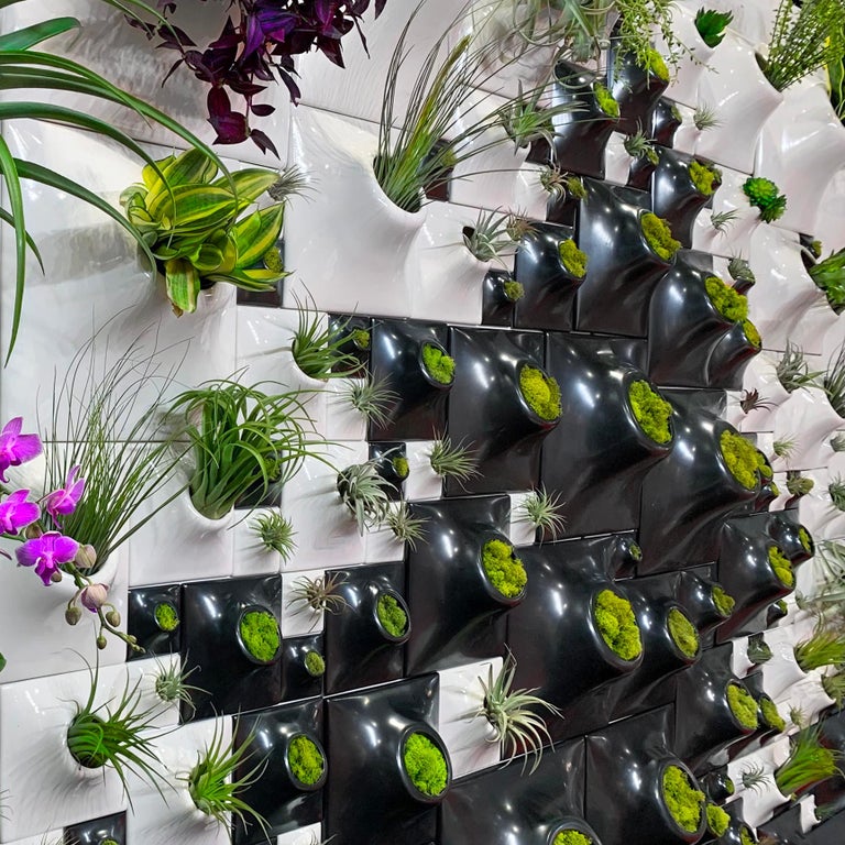 Modern Greenwall Sculpture, Plant Wall Art, Biophilic Wall Decor, Price ...