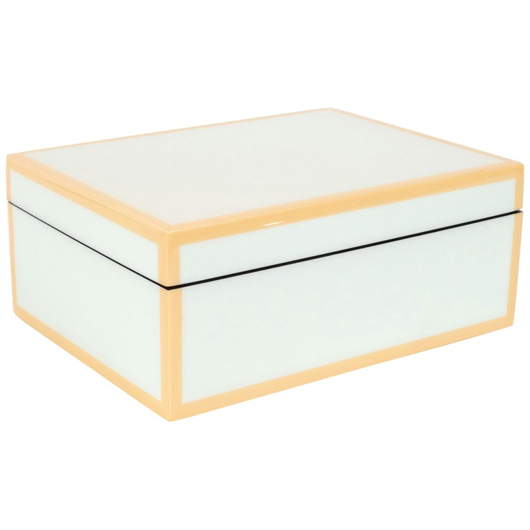 Modernist Square Lacquered Rectangular Box in Pale Celadon with Tan ...