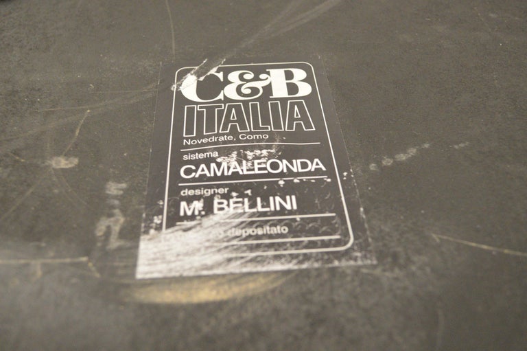 Modular Camaleonda Element Sofa by Mario Bellini for C&B Italia For ...