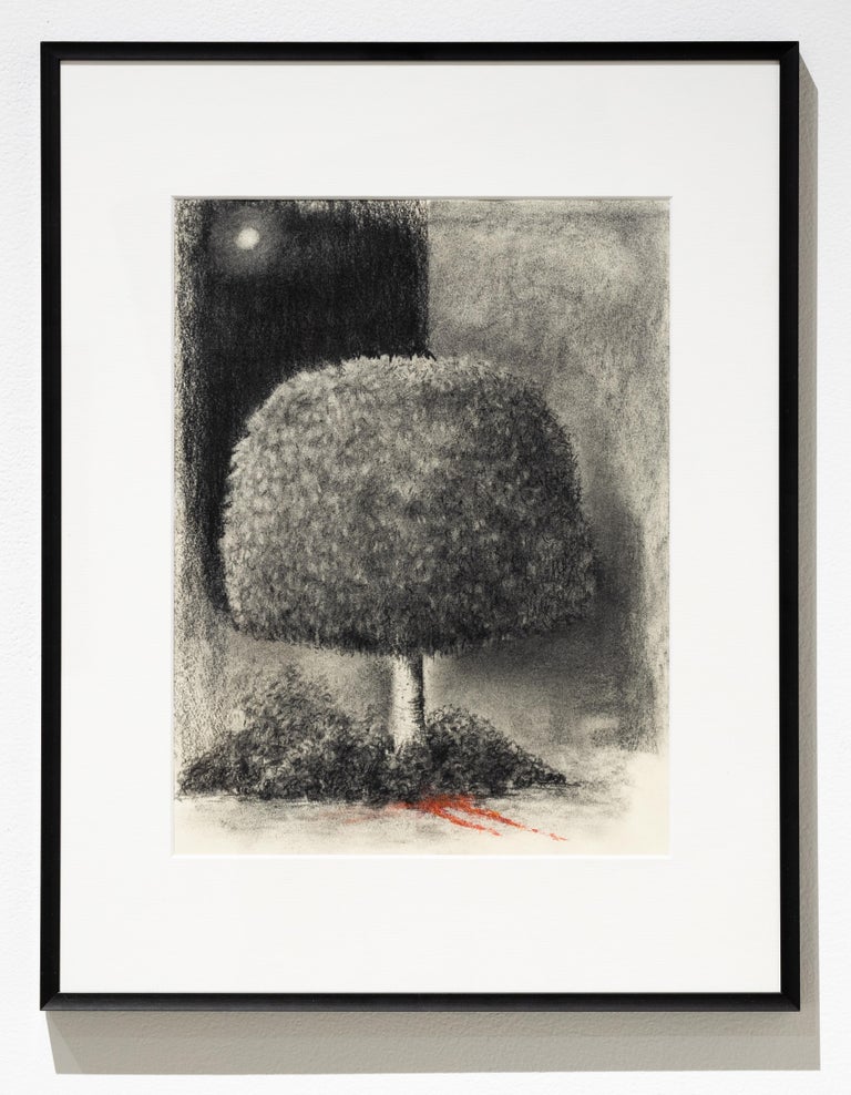 Mohadese Movahed - The Moon Has Witnessed It All at 1stDibs