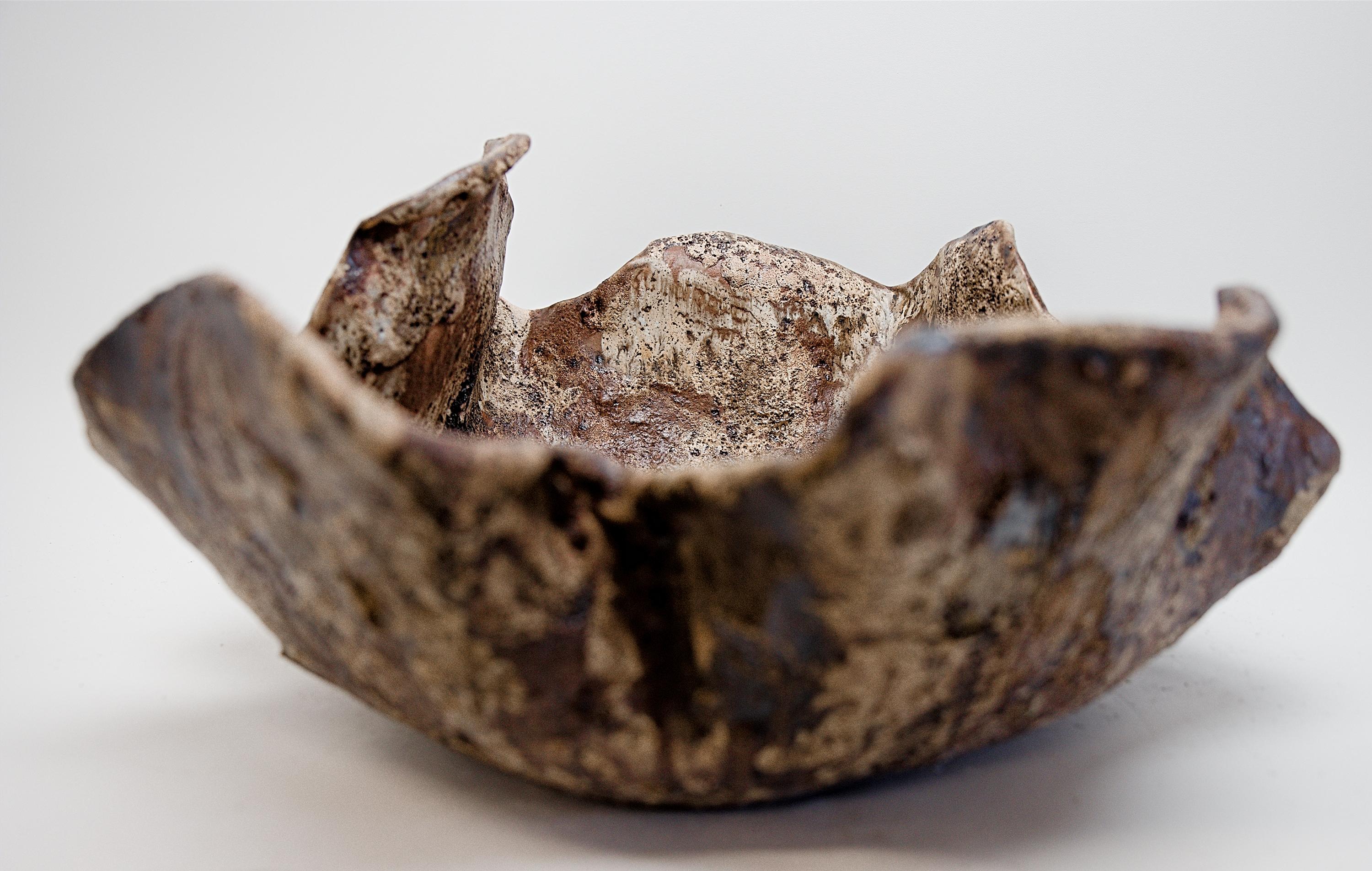 Mokuzai Low Wide Bowl For Sale at 1stDibs