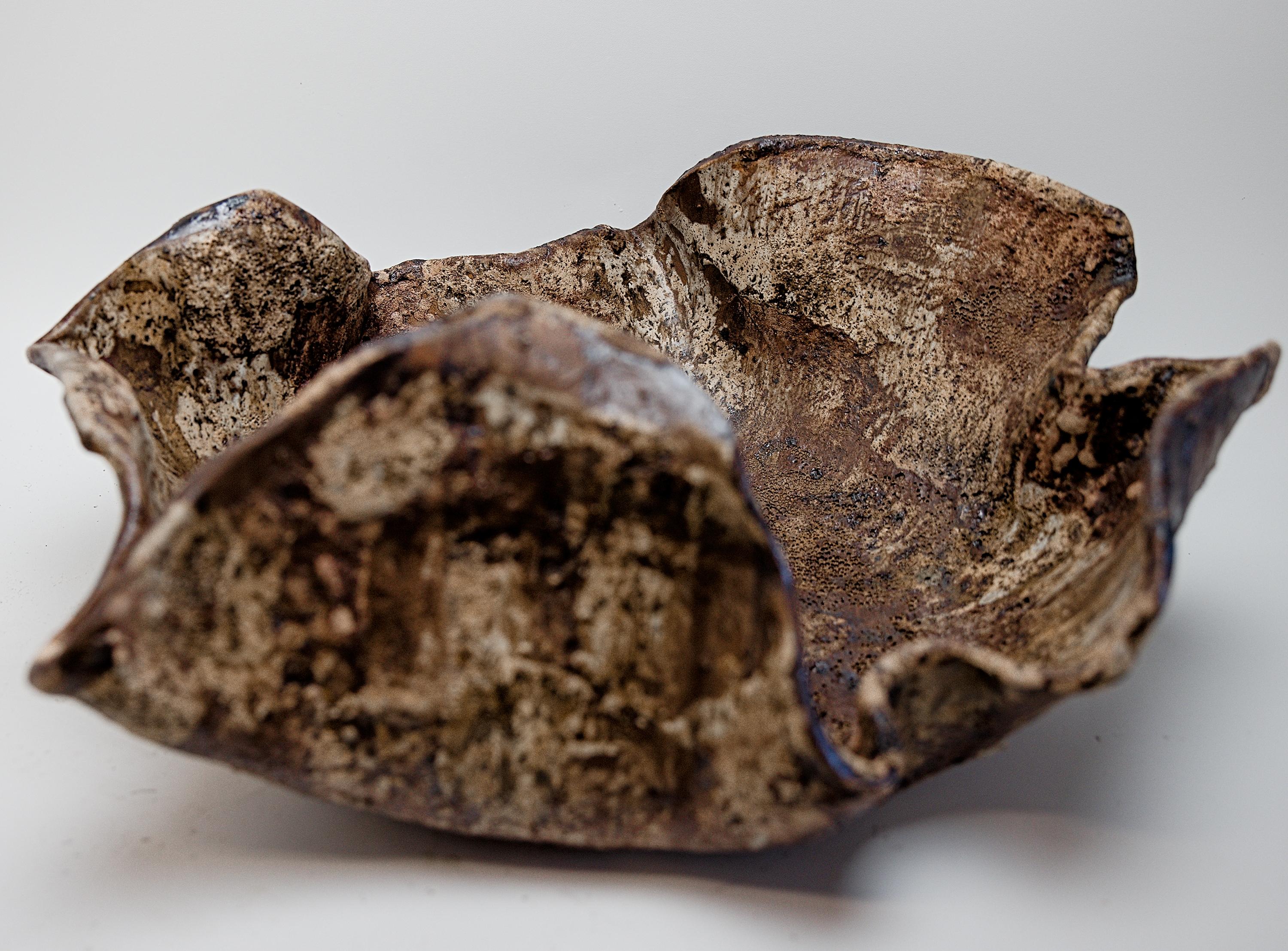 Mokuzai Low Wide Bowl For Sale at 1stDibs
