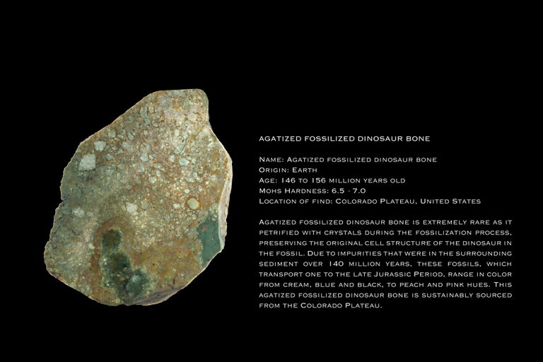 Monique Péan Green Fossilized Dinosaur Bone Ring, 18 Carat Recycled ...