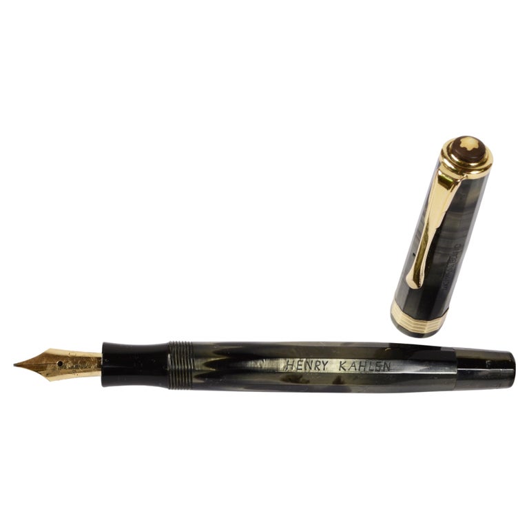 Montblanc Meisterstuck 25 F Antique Fountain Pen Celluloid Platinum-Colored For Sale at 1stDibs