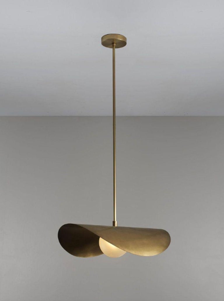 Montera Biomorphic Pendant Light in Brass and Blown Glass For Sale at ...