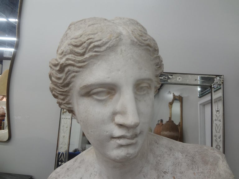 Monumental 19th Century French Plaster Torso of Venus For Sale at 1stDibs