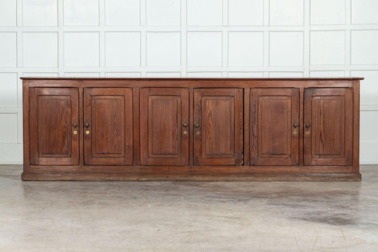 Monumental 19th C French Pine School Cupboard/Counter For Sale at 1stDibs