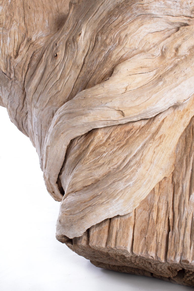 Monumental Bleached Teak Wood Form For Sale at 1stDibs