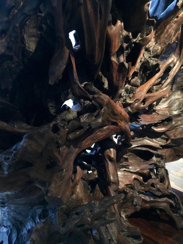 Monumental Contemporary Mahogany Root Sculpture by Jerome Abel Seguin ...