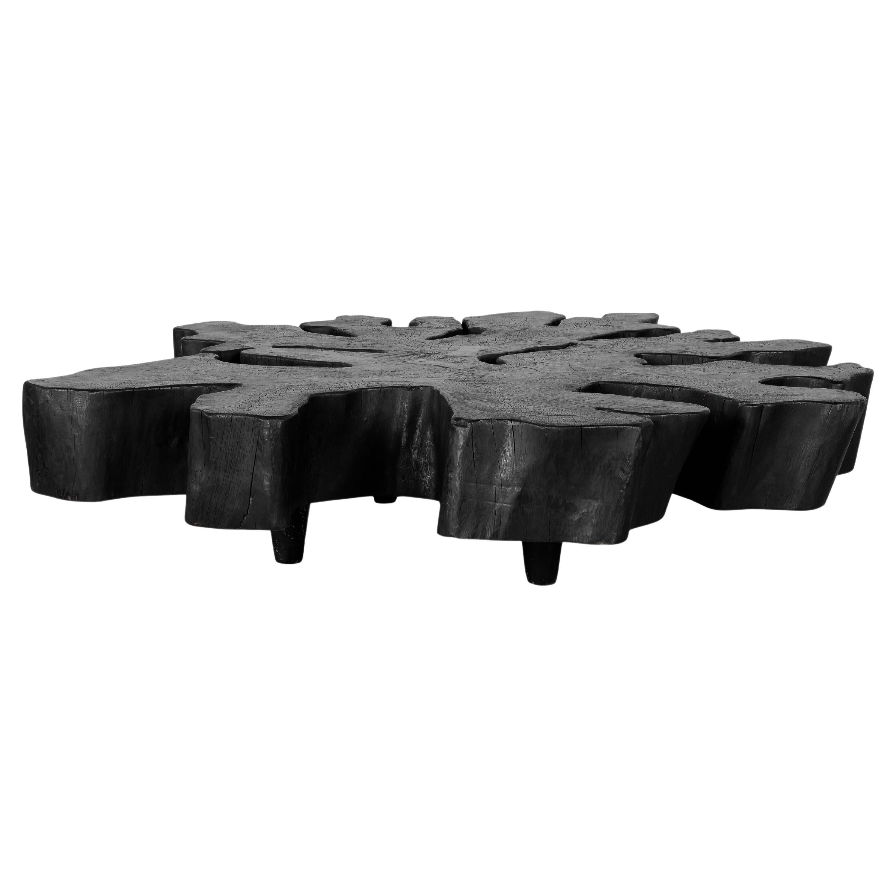 Extra Large Organic Shape Lychee Wood Coffee Table, Indonesia ...