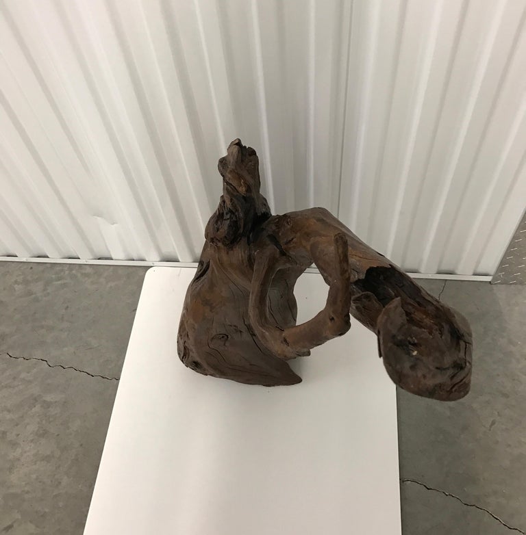 Vintage Tall Natural Driftwood Tree Branch Sculpture at 1stDibs