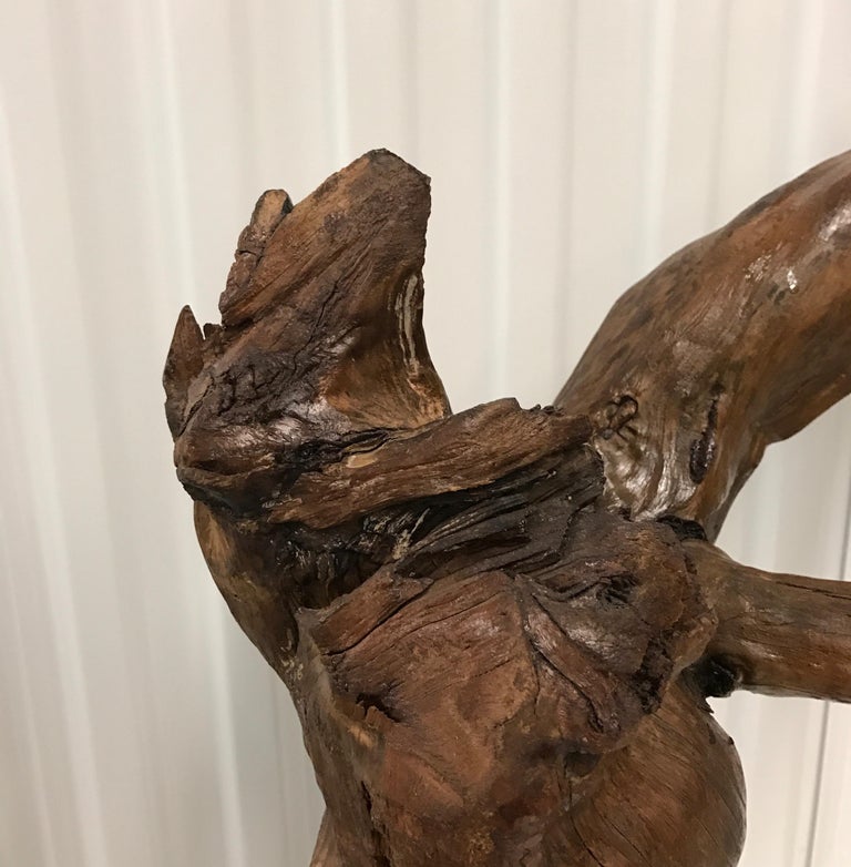 Vintage Tall Natural Driftwood Tree Branch Sculpture at 1stDibs