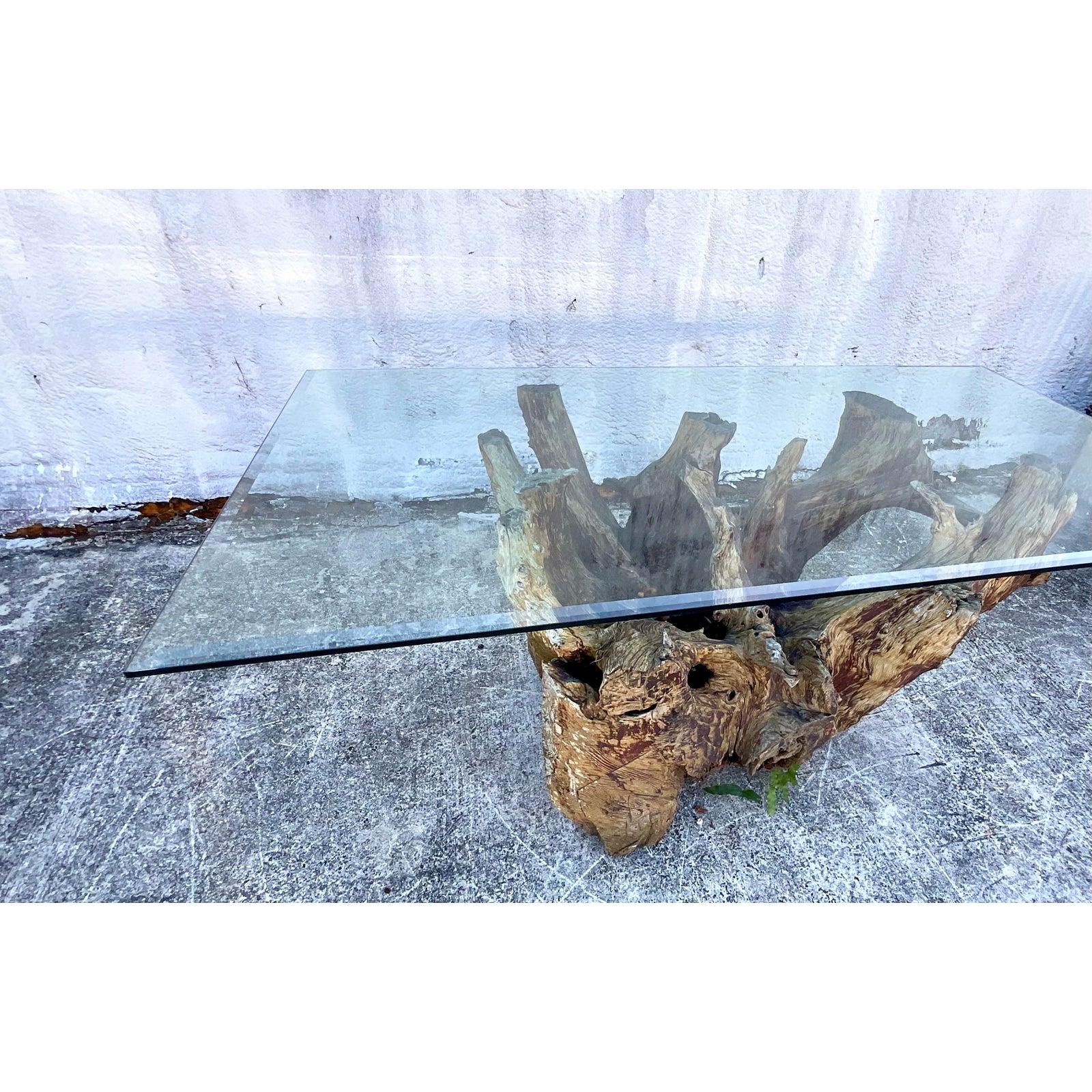 Monumental Vintage Florida Cypress Root Pedestal at 1stDibs