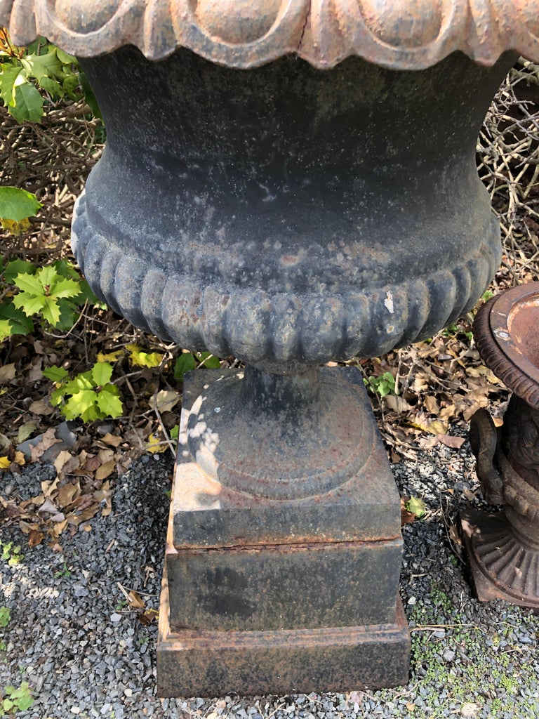 Monumental Vintage Pair of Black Cast Iron English Planters Urns on ...