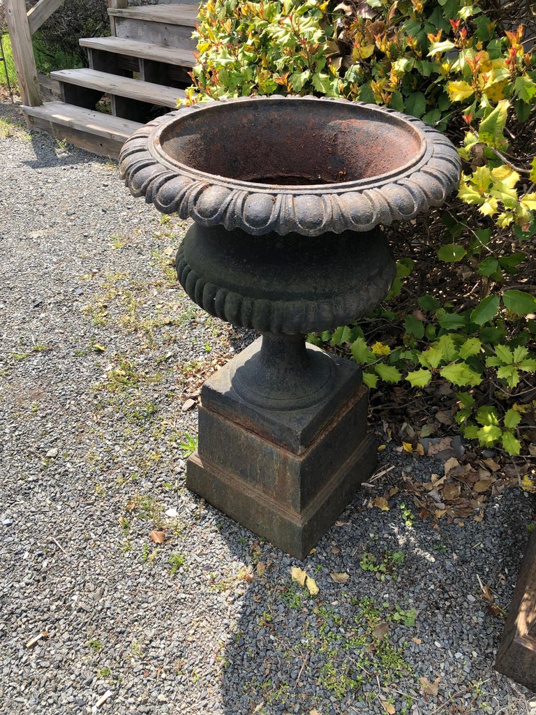 Monumental Vintage Pair of Black Cast Iron English Planters Urns on ...