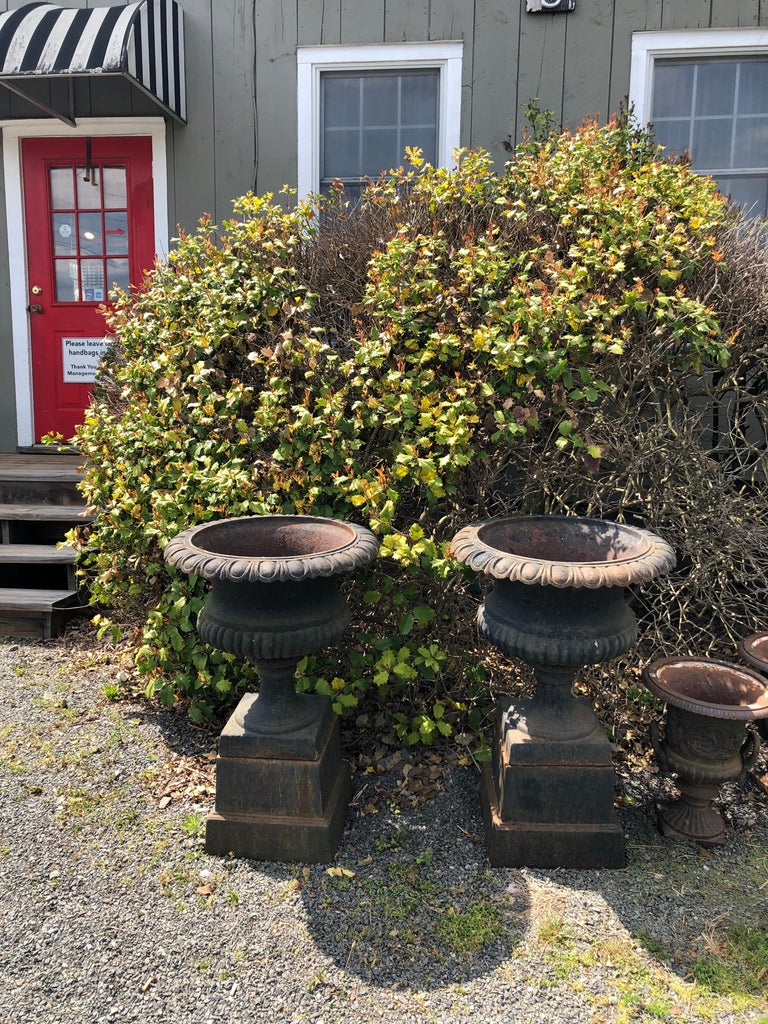 Monumental Vintage Pair of Black Cast Iron English Planters Urns on ...