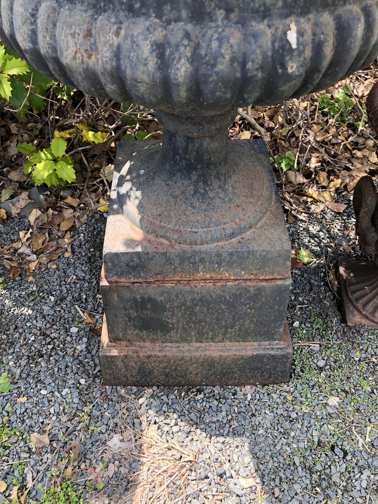 Monumental Vintage Pair of Black Cast Iron English Planters Urns on ...
