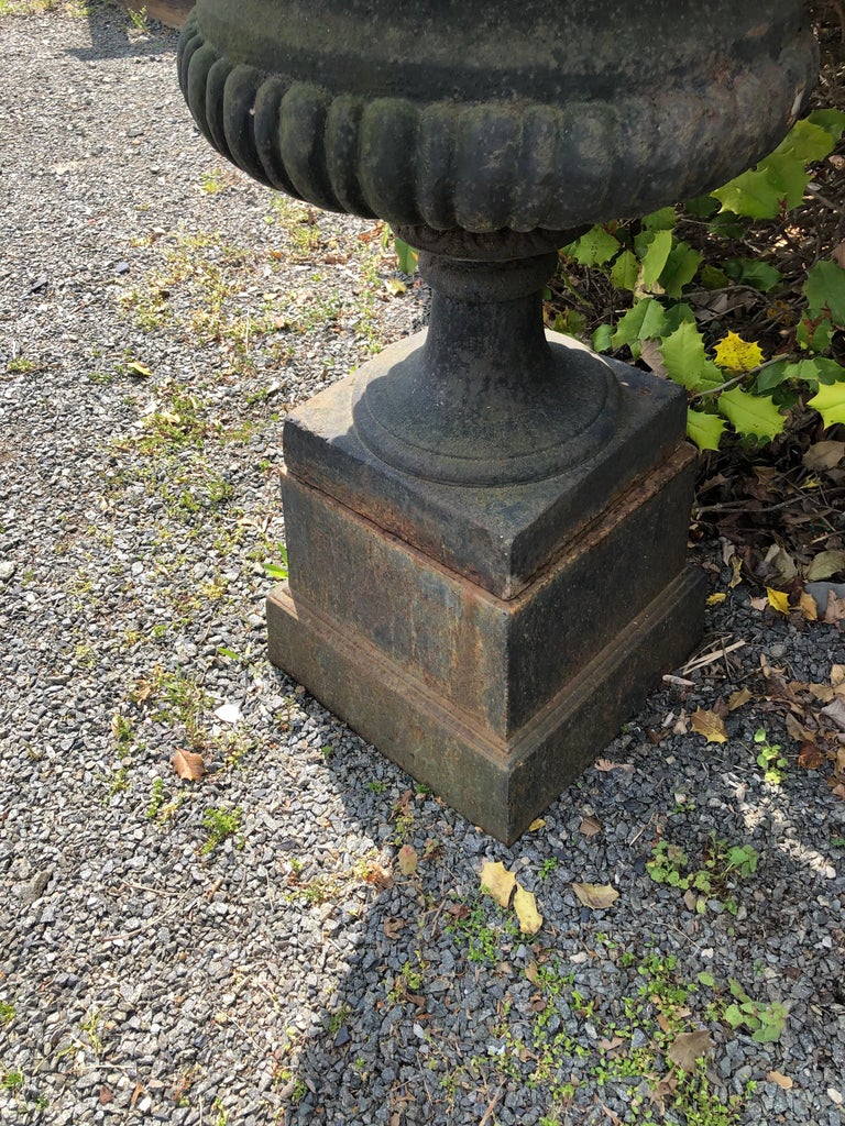 Monumental Vintage Pair of Black Cast Iron English Planters Urns on ...
