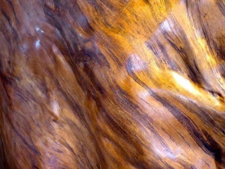 Monumental Vintage Root Wood Specimen as a Freestanding Room Divider at ...