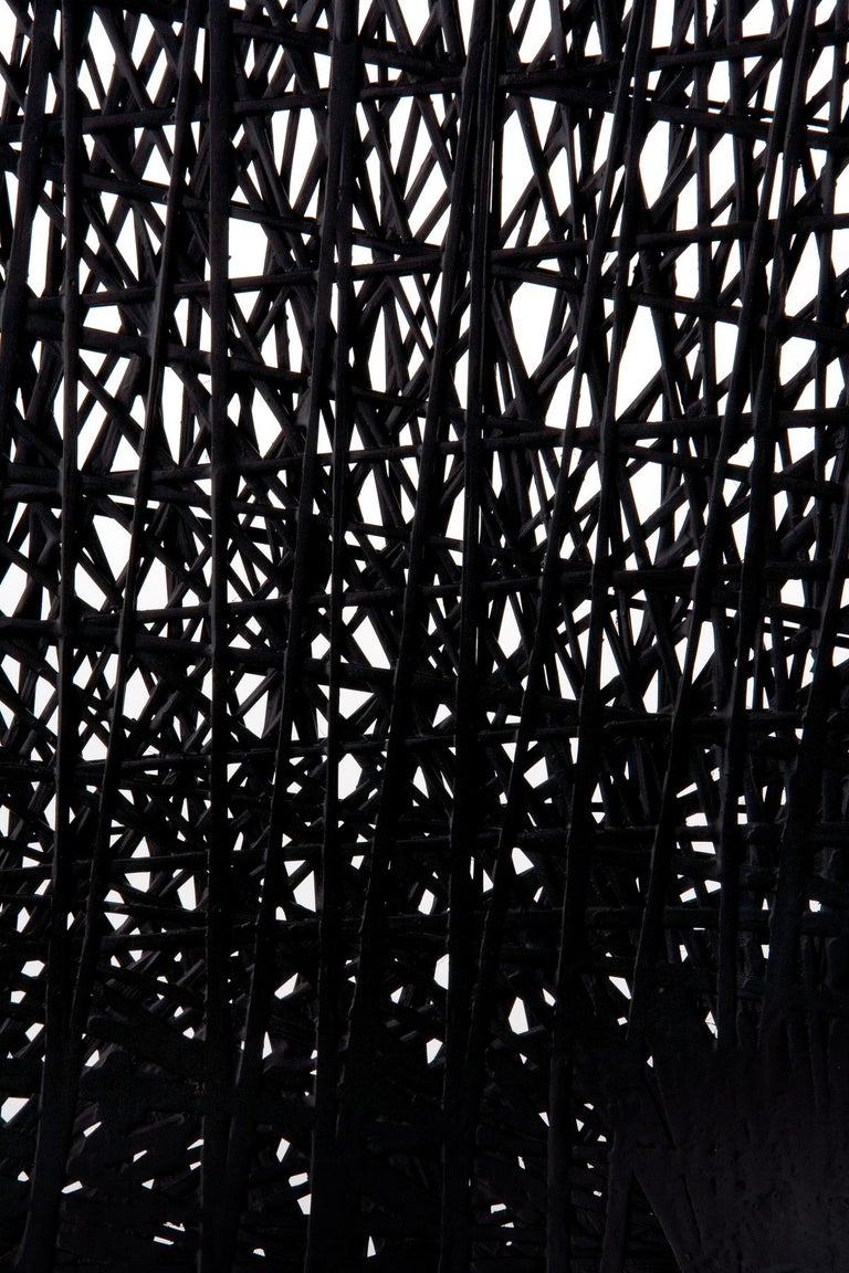 Moooi Carbon Chair in Black Fiber with Epoxy Resin by Bertjan Pot For ...