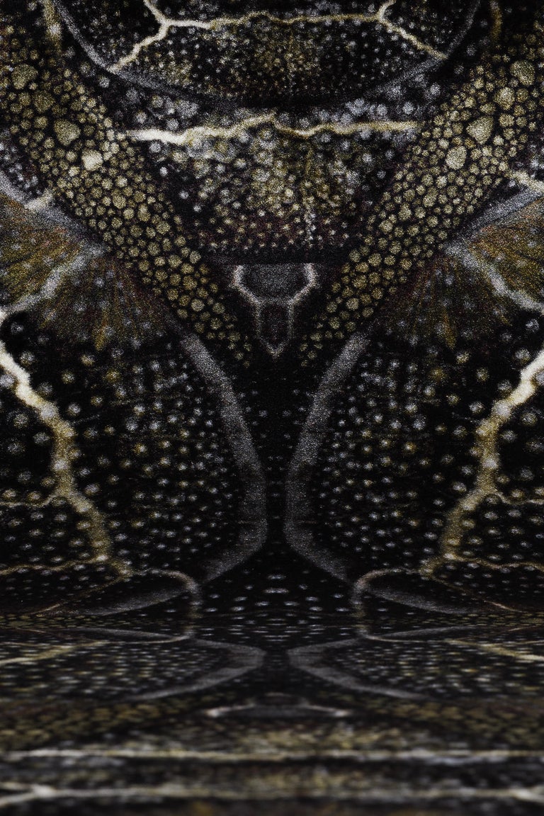 Moooi Large Extinct Animals Blooming Seadragon Rug in Wool For Sale at ...