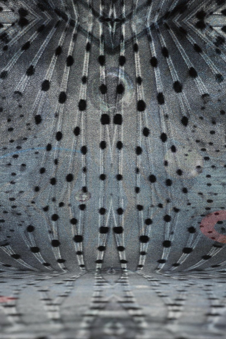 Moooi Large Extinct Animals Flying Coral Fish Rug in Soft Yarn ...