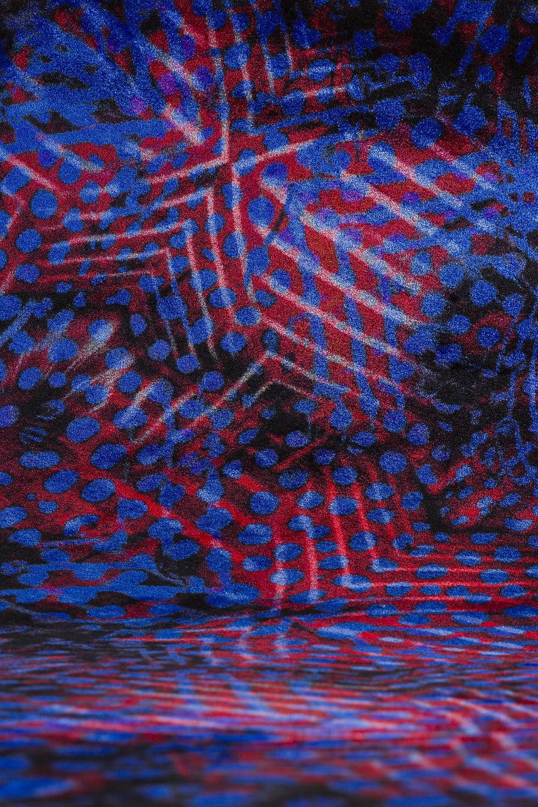 Moooi Small Extinct Animals Umbrella Squid Rug in Low Pile Polyamide ...