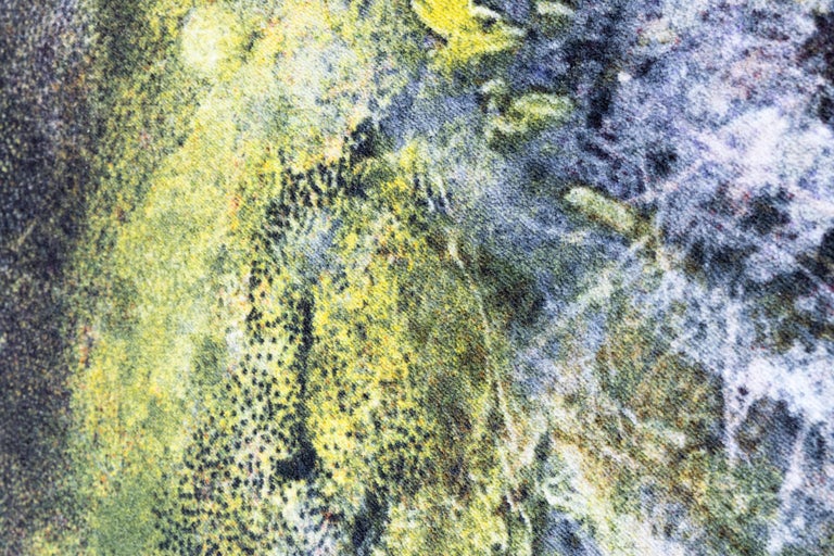 Moooi Small Forest Floors Landscape Rug in Soft Yarn Polyamide For Sale ...