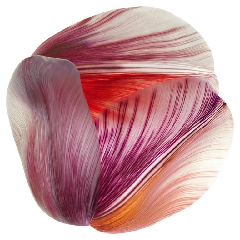 Moooi Tulip Mania Round Rug by Hilde Koenders For Sale at 1stDibs