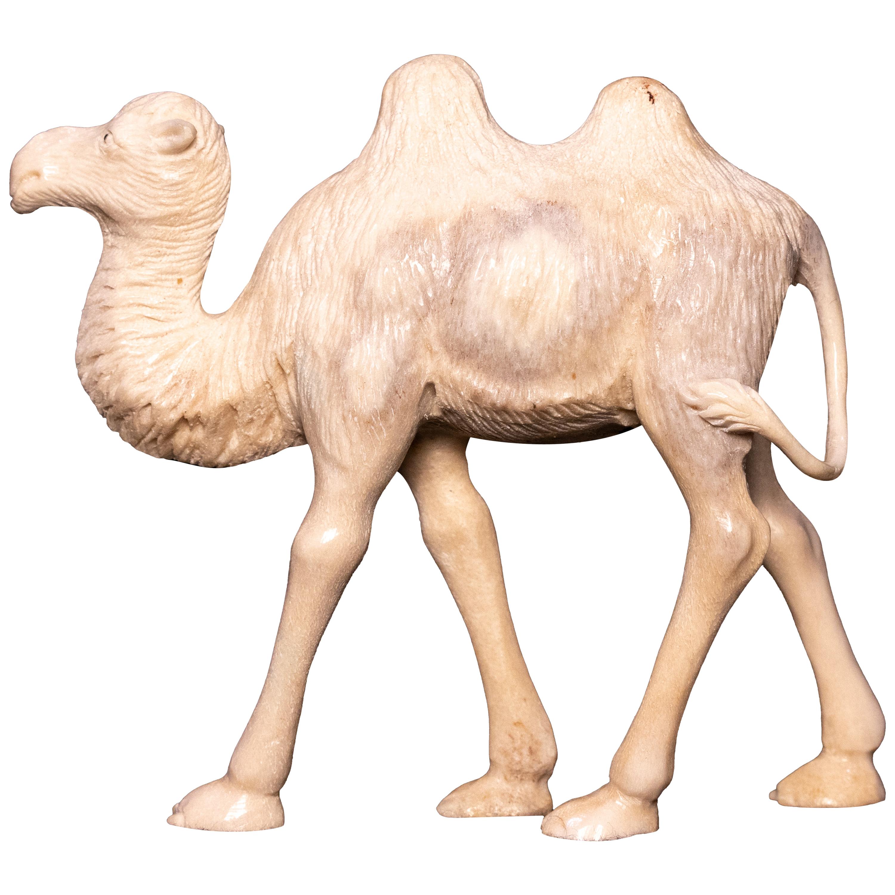 Jet Carving of Hooded Cobra at 1stDibs