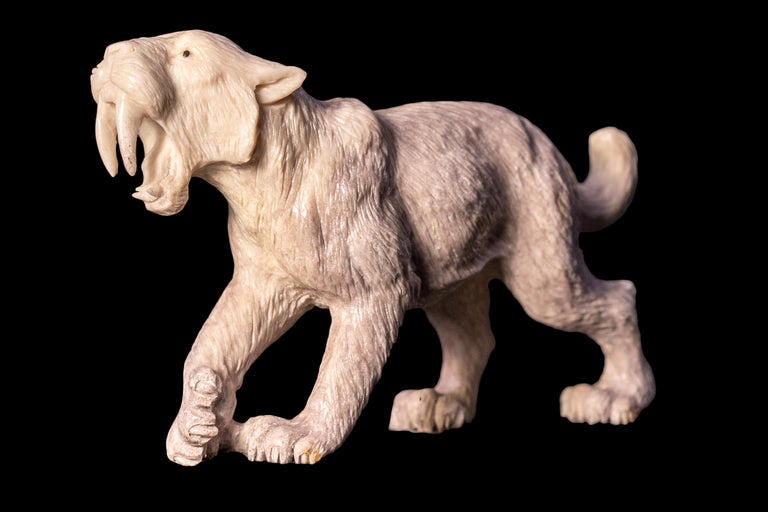 Moose Antler Carving of Sabertooth Tiger For Sale at 1stDibs ...