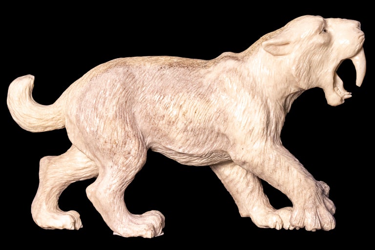 Moose Antler Carving of Sabertooth Tiger For Sale at 1stDibs ...