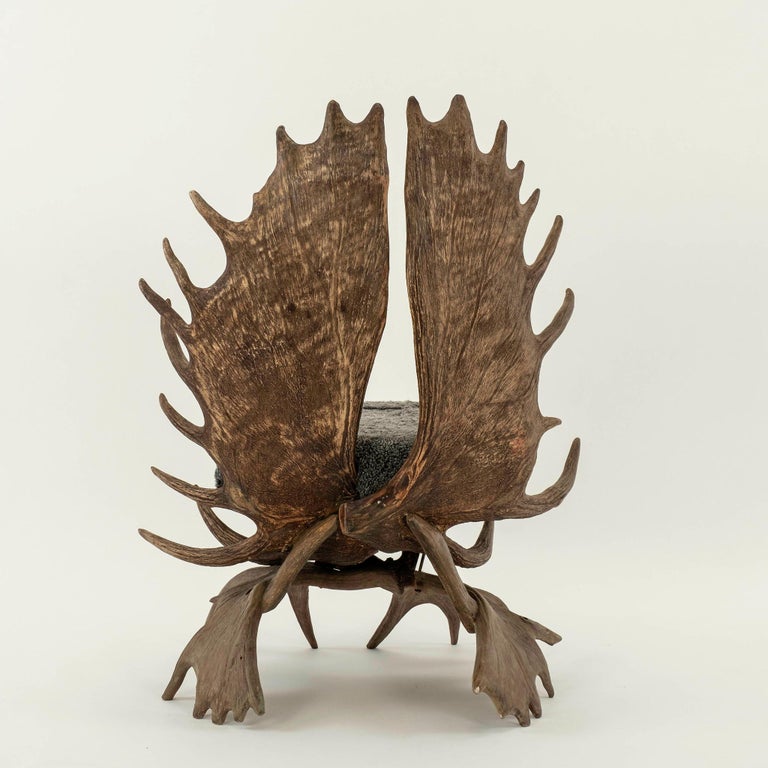 Moose Antler Chair at 1stDibs | moose horns
