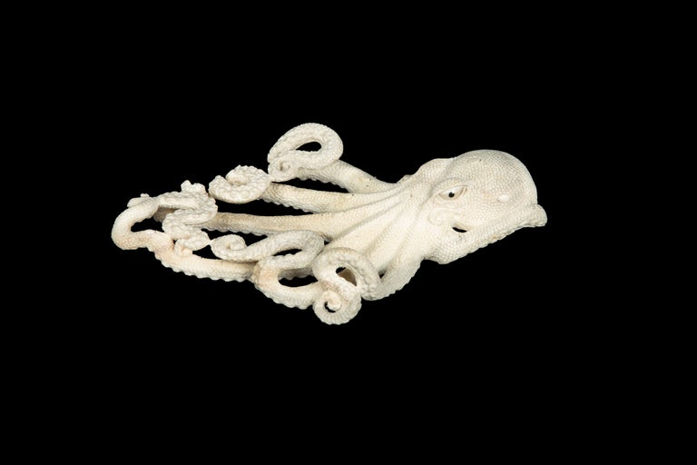 Moose Antler Octopus For Sale at 1stDibs