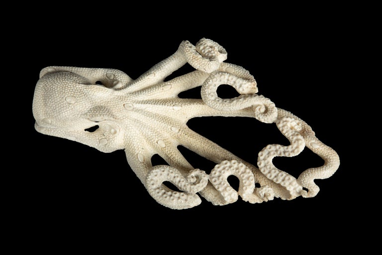 Moose Antler Octopus For Sale at 1stDibs