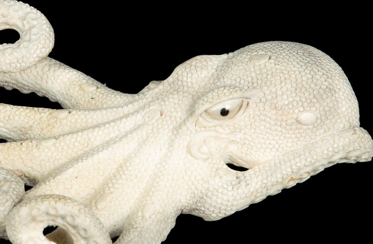 Moose Antler Octopus For Sale at 1stDibs