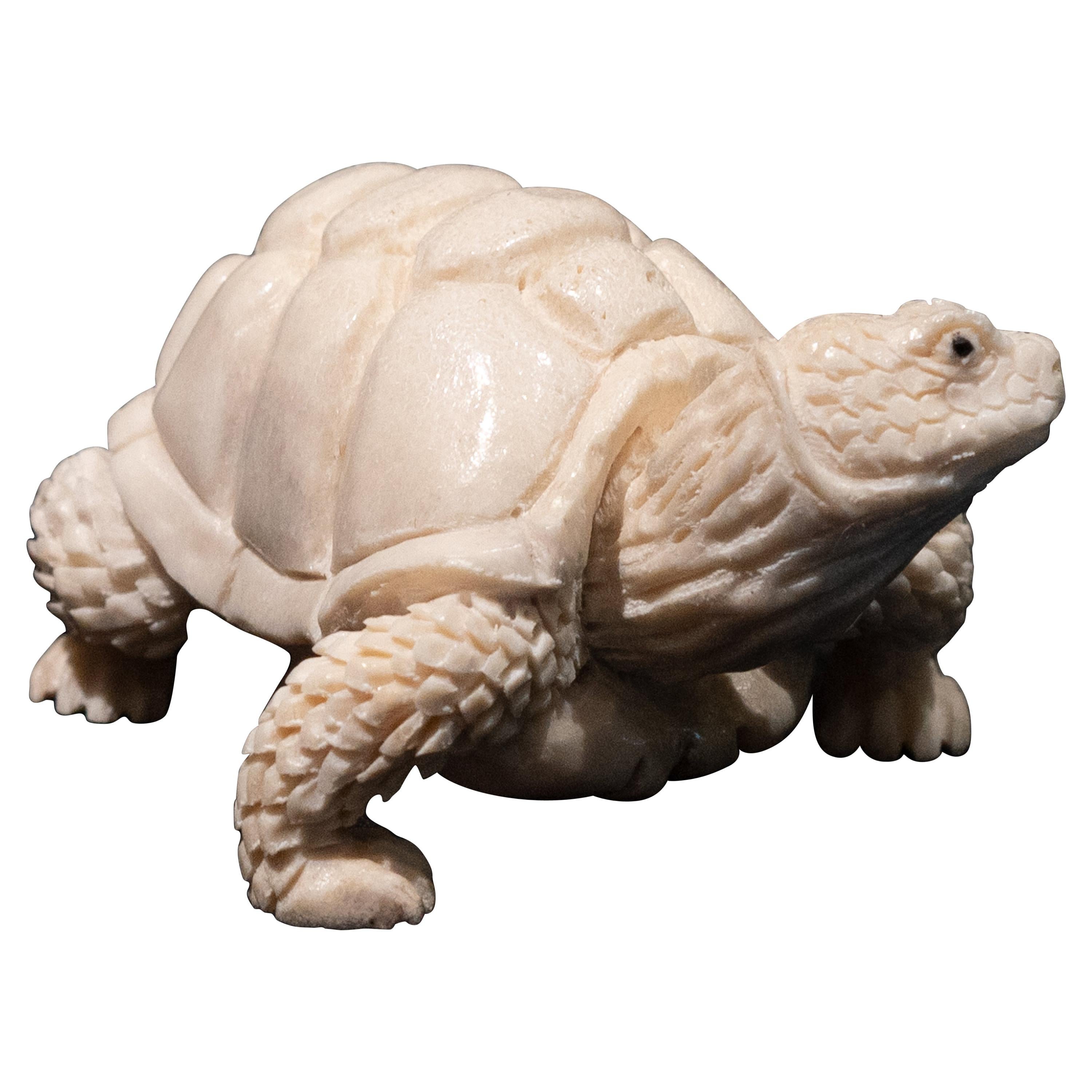 Jet Carving of Hooded Cobra at 1stDibs