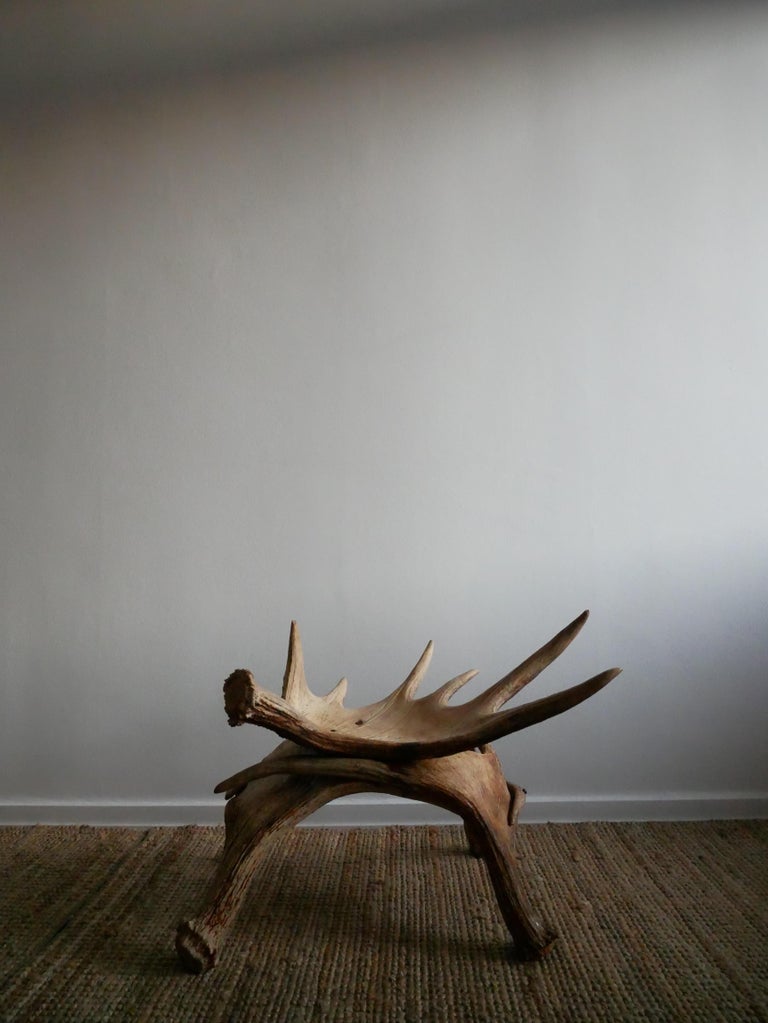 Moose Horn Stool at 1stDibs