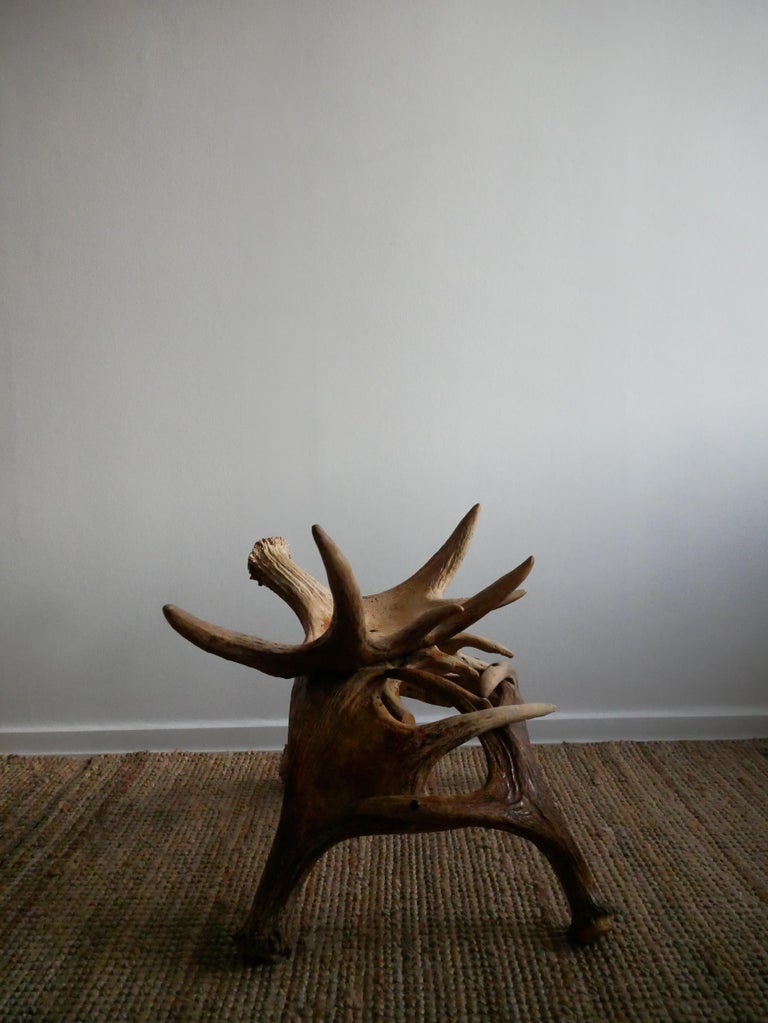 Moose Horn Stool at 1stDibs