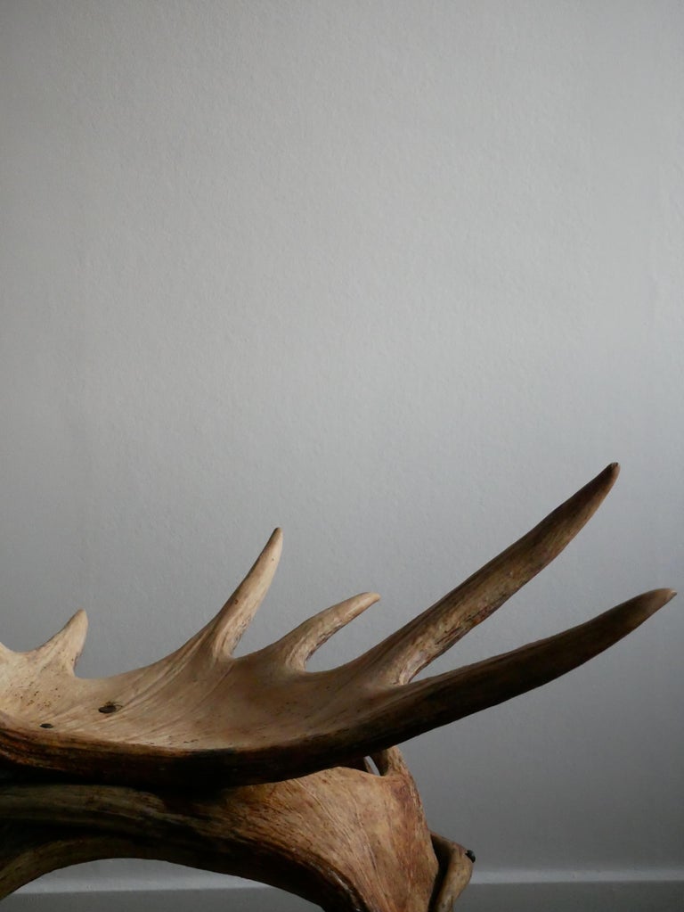Moose Horn Stool at 1stDibs