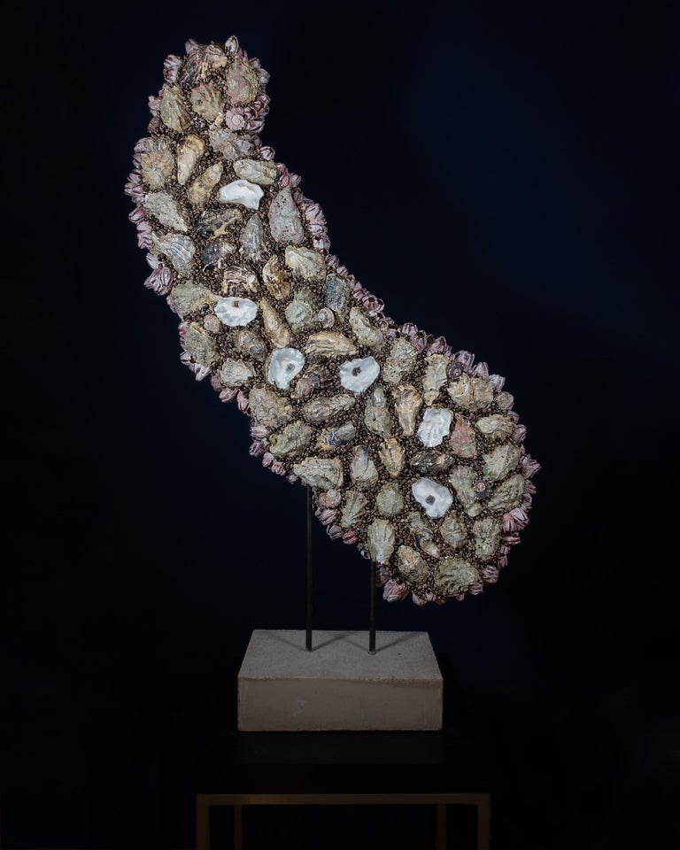 Morning Glory, Unique Free-Standing Barnacle Sculpture by Shellman ...