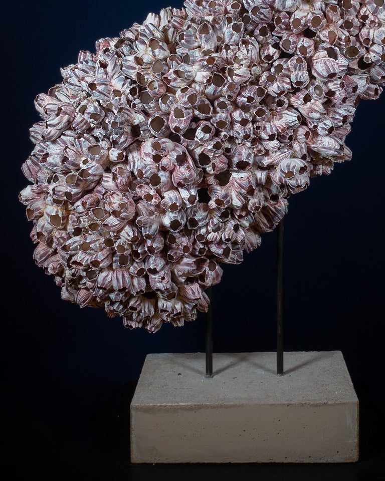 Morning Glory, Unique Free-Standing Barnacle Sculpture by Shellman ...