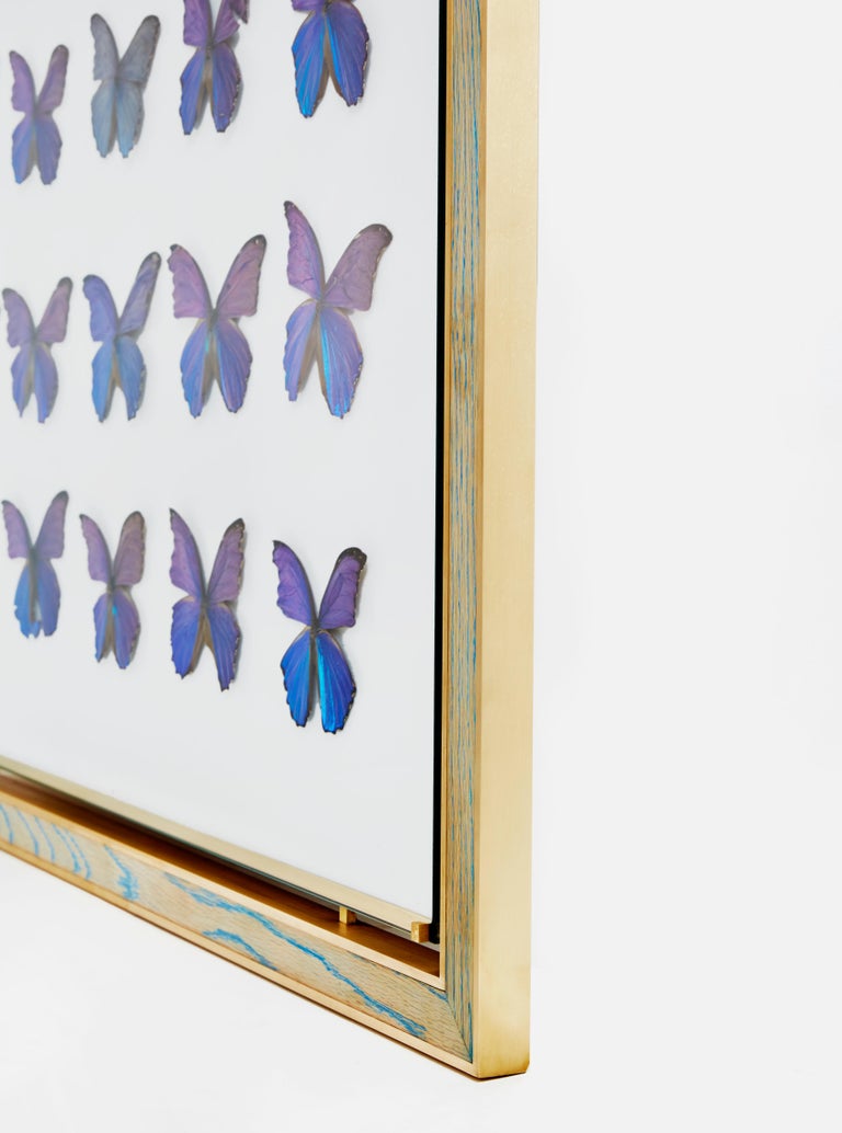 Morpho Blue Butterfly Frame in White Oak and Brass by Cam Crockford For ...