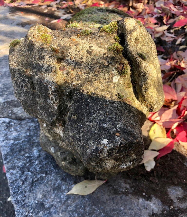 Mossy Recumbent English Cast Stone Pig at 1stDibs