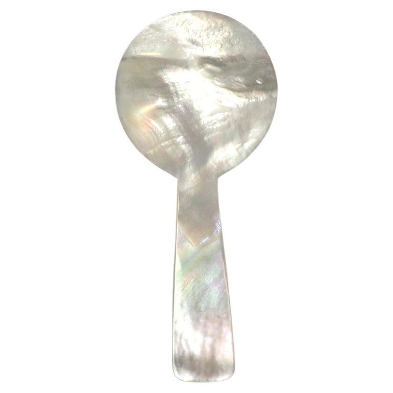 Mother of Pearl Caviar Serving Spoon For Sale at 1stDibs