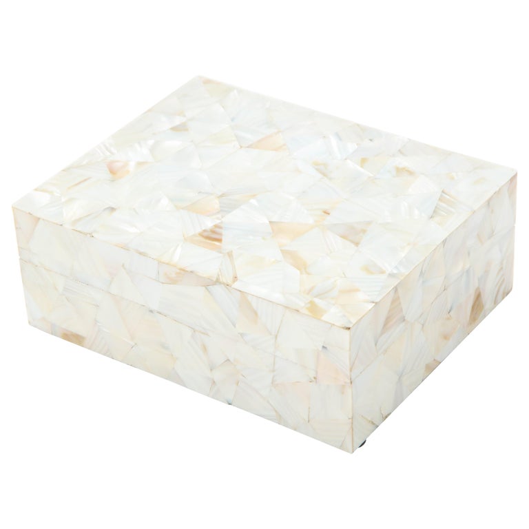 Mother-of-Pearl Decorative Box at 1stDibs