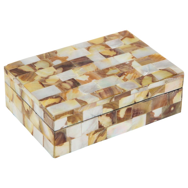 Mother of Pearl Decorative Box at 1stDibs