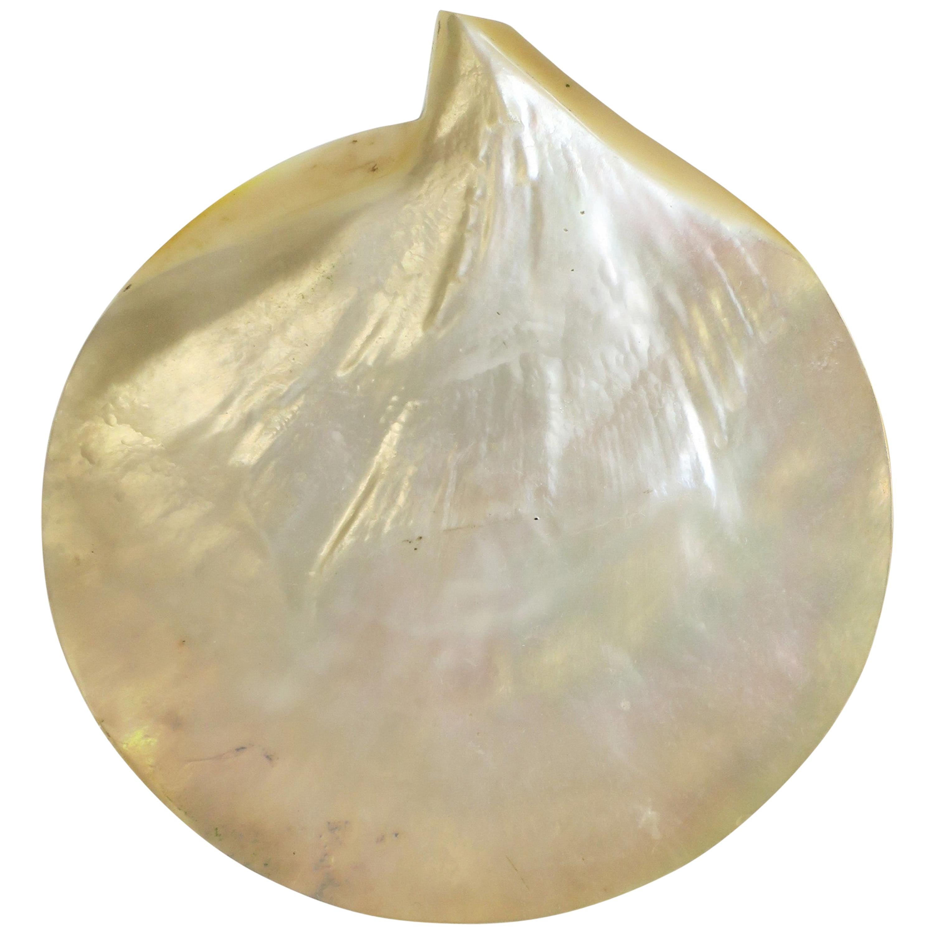 Mother of Pearl Seashell Caviar Dish and Spoons Set at 1stDibs