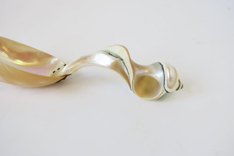 Mother of Pearl Seashell Spoon or Caviar Vessel For Sale at 1stDibs