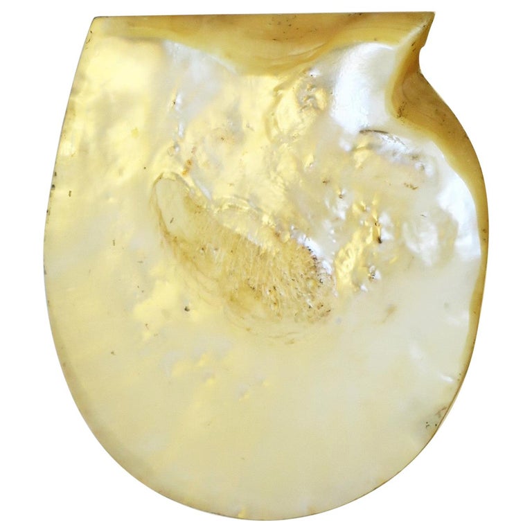 Mother of Pearl Seashell Sea Shell Caviar Dish For Sale at 1stDibs